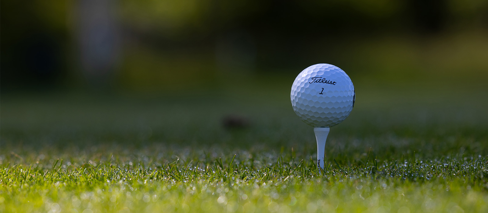 5 spørgsmål du bør stille dig selv, når du vælger golfbold - Golfstore ...